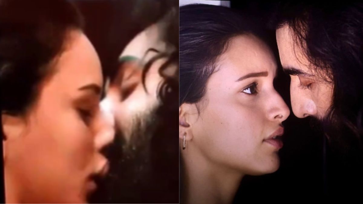 Animal Movie Fame Tripti Dimri Biography: Age, Family, Education ...