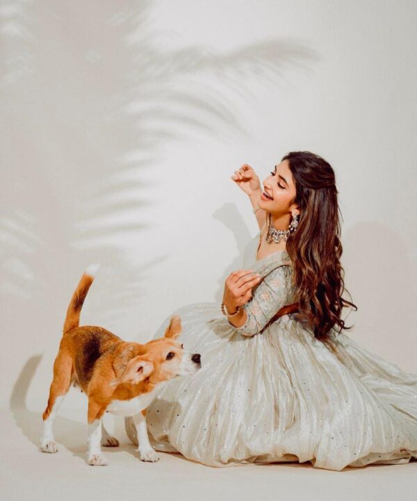 Sree Leela Biography: Age, Family, Friends, Boyfriend, Career, Networth ...