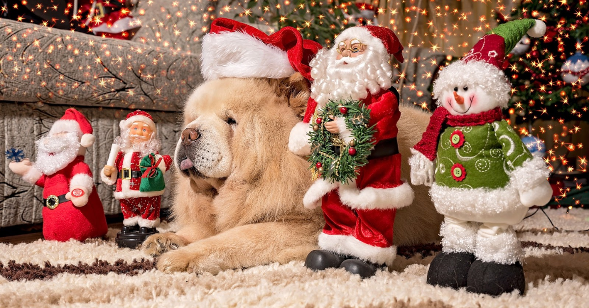 Happy Christmas 2025 – Wishes, Messages, Quotes, Greetings & Gift Ideas ...